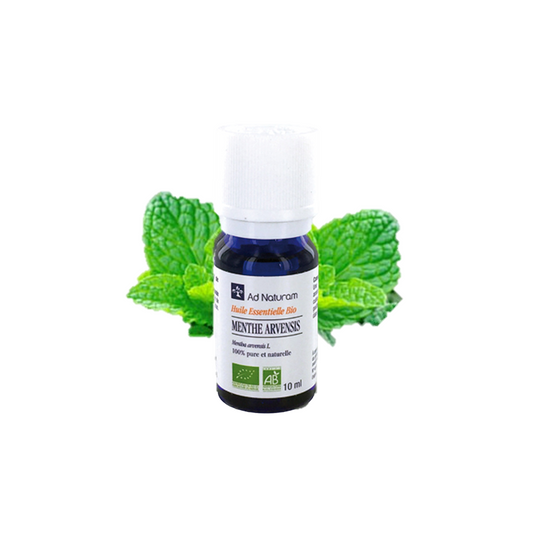 IMチャート分類 - 左下 – Olfact Lab.